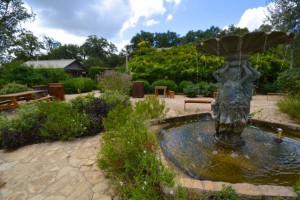 The Salt Lick: Legendary Open Pit BBQ in Driftwood