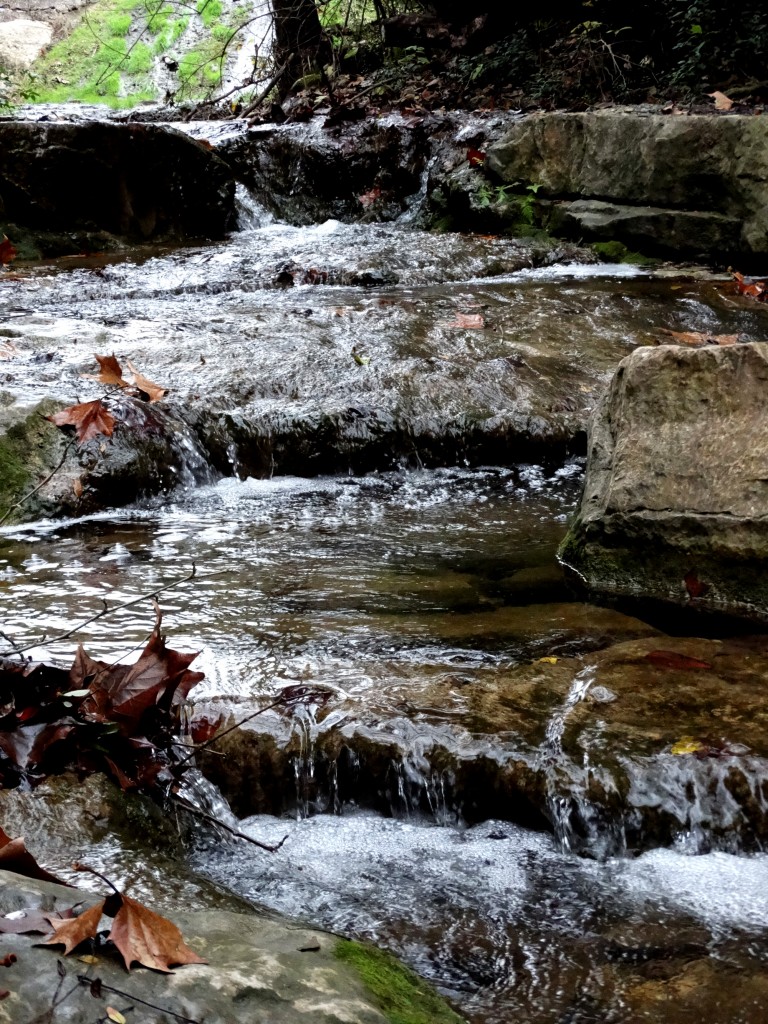 River Place Nature Trail: The Most Underrated Hike in Austin